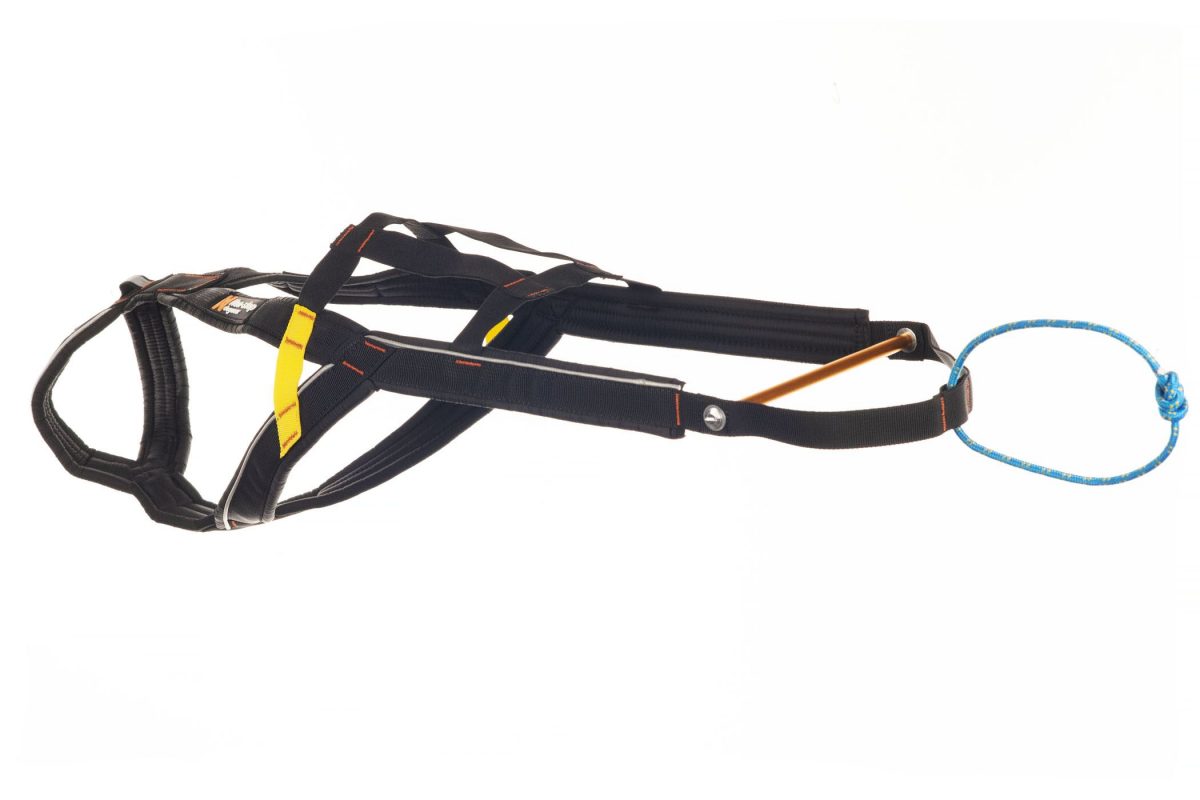 Nansen Stick Harness - Alaska Dog Center Dog Sled Tours, Cafe, Gifts ...
